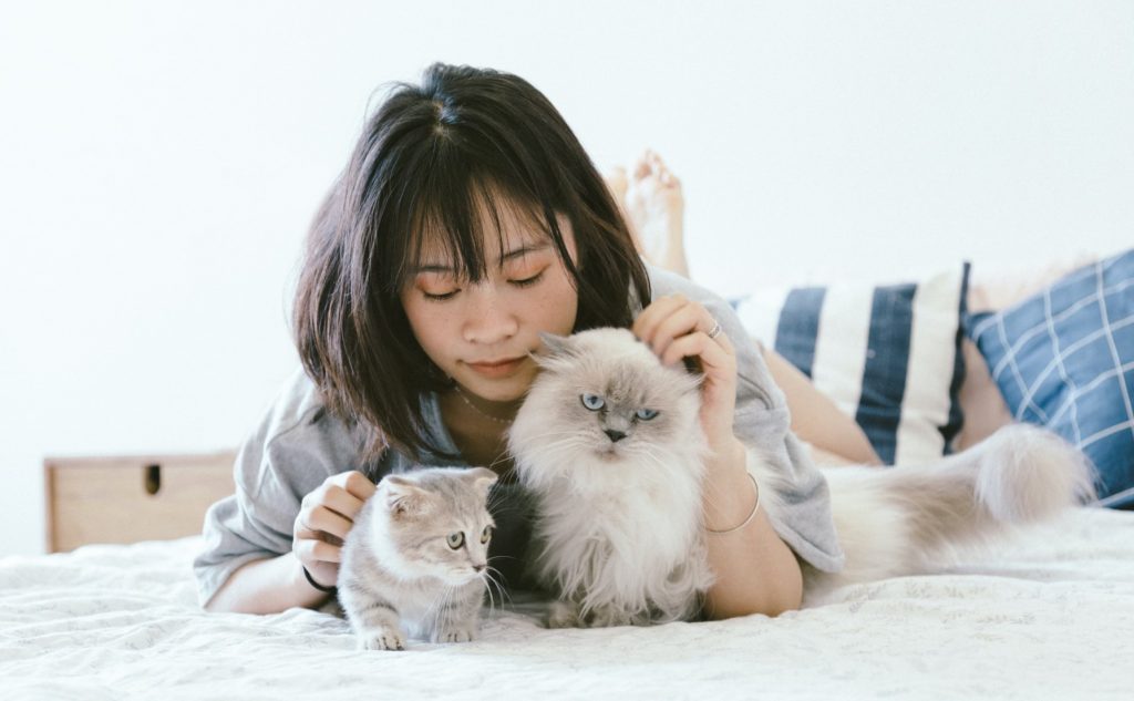 Why Do I Love My Cat So Much? (11 Reasons Why)