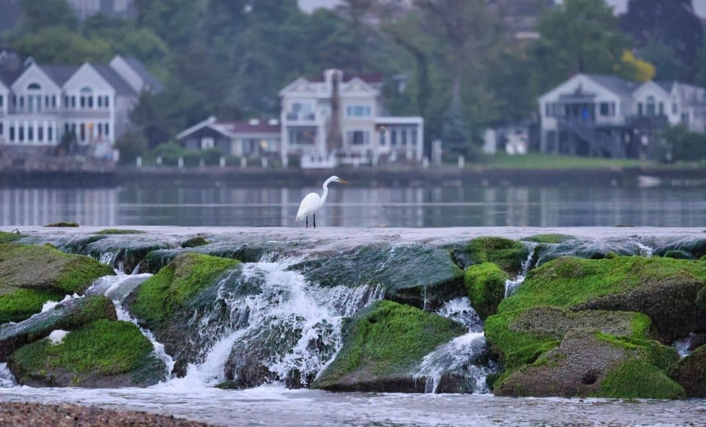 Why Is Connecticut So Boring? (11 Reasons Why)