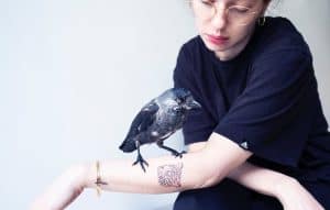 Why Do Crows Follow Me? (7 Revealing Reasons)