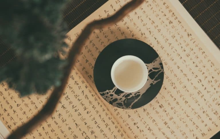 Why Is Chinese So Hard To Learn? (11 Reasons Why)