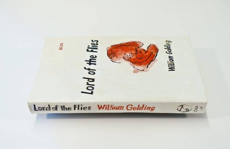 Why Is Lord Of The Flies Banned? (9 Reasons Why)